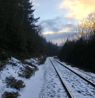 Jordan Gavaris Dating Gay Partner. Net Worth | VergeWiki