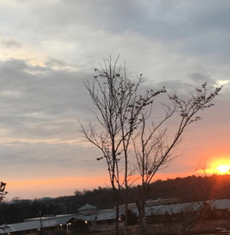 Samantha Mohr Weight Loss Plan And Age. Married Life With Husband ...